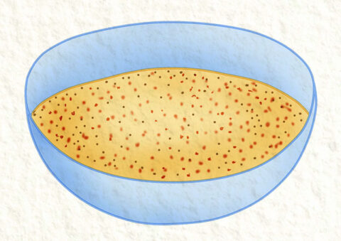 How To Make French Toast - Draw My Recipes